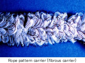 Biological Deodorization System